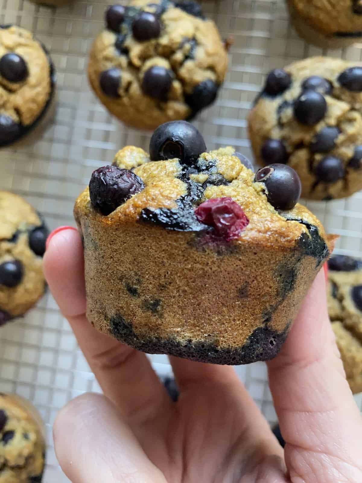 Flourless Blueberry Muffins - Hungry Happens