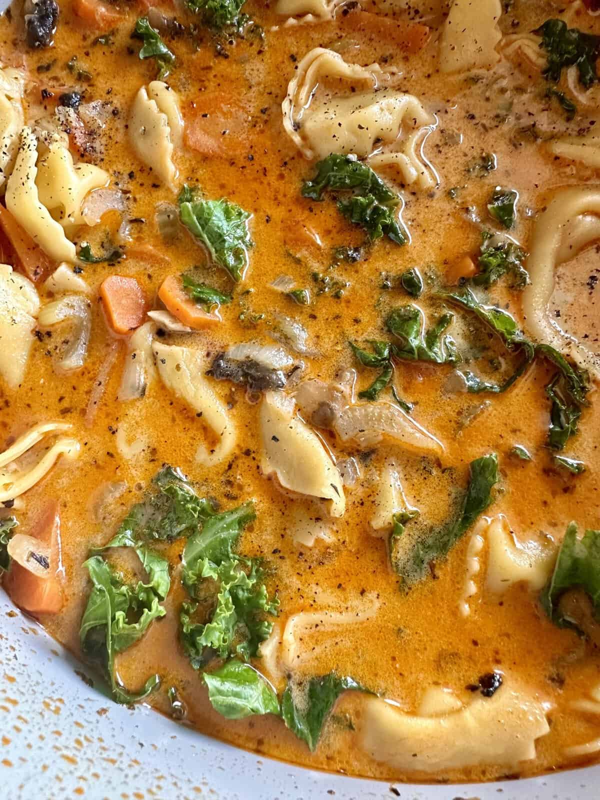 One Pot Vegetable Tortellini Soup - Hungry Happens